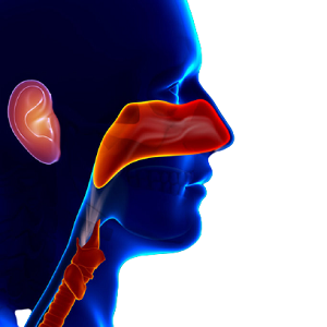 Hymen Repair Surgery in India - MedicoExperts