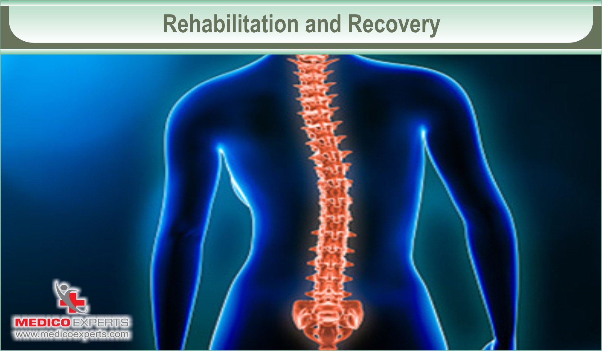 Acute Spinal Cord Injury Treatment: A Bridge to Recovery