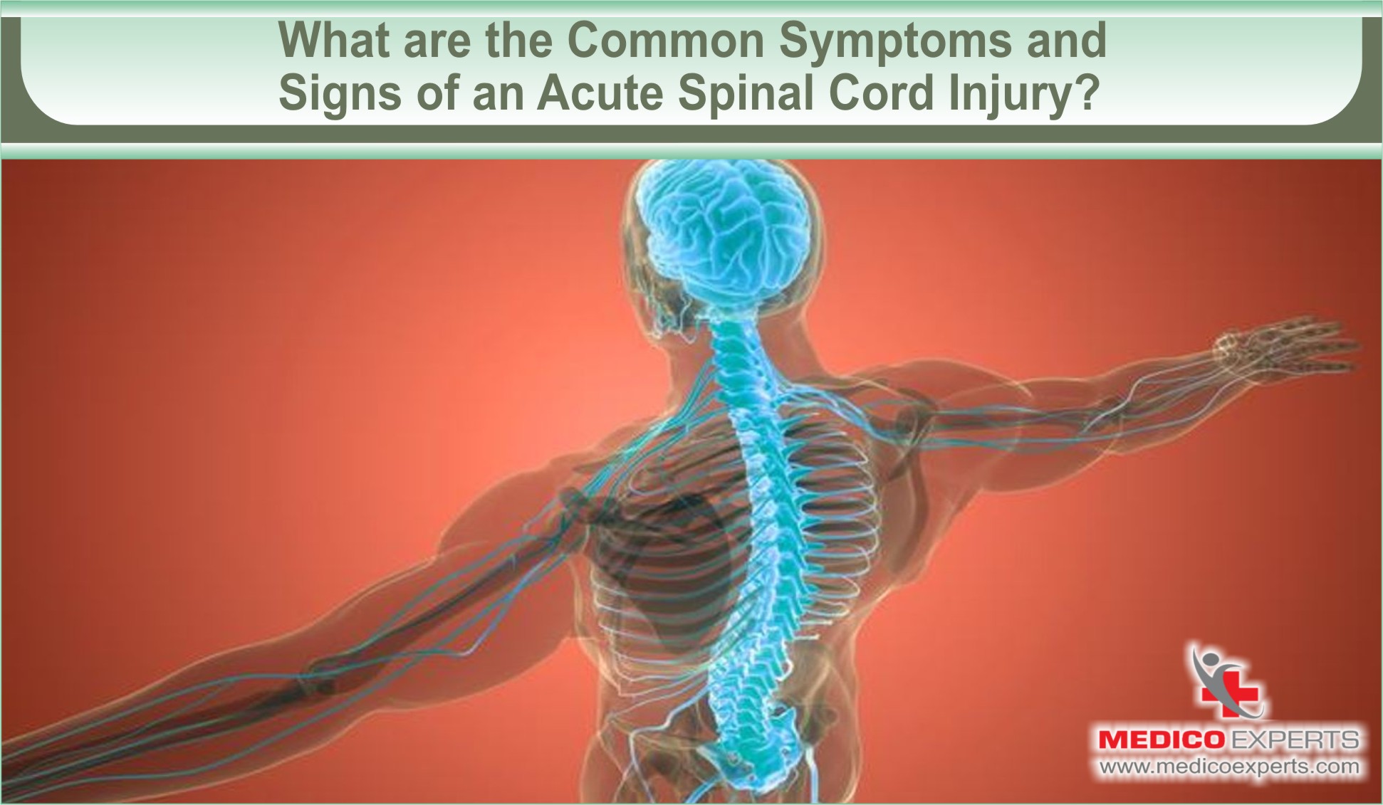 Acute Spinal Cord Injury Treatment: A Bridge to Recovery
