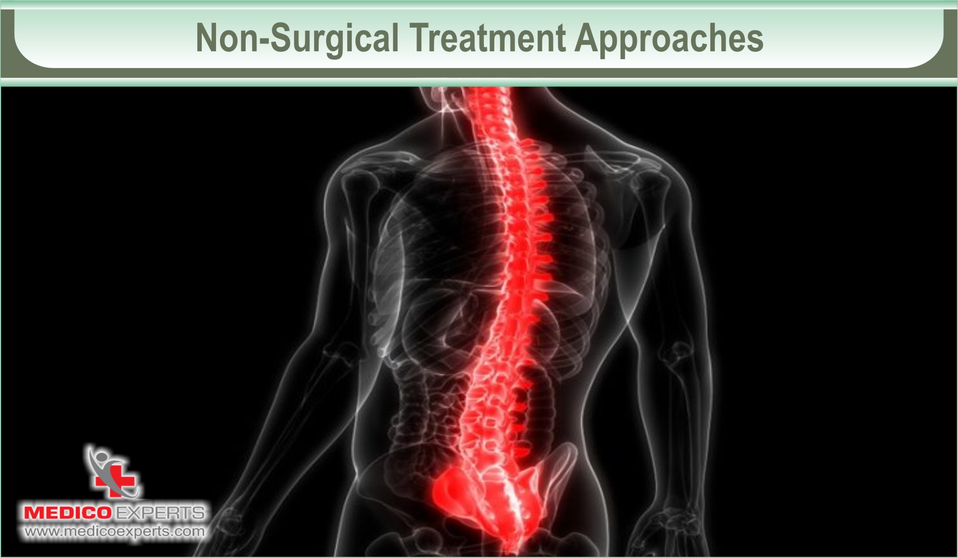 Acute Spinal Cord Injury Treatment: A Bridge to Recovery