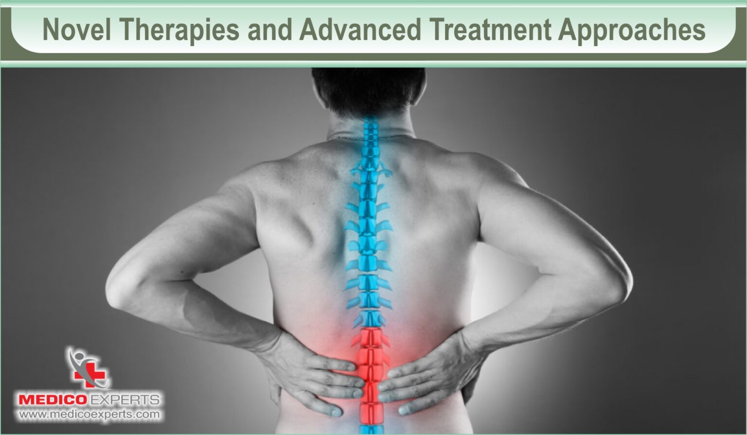 Acute Spinal Cord Injury Treatment: A Bridge to Recovery