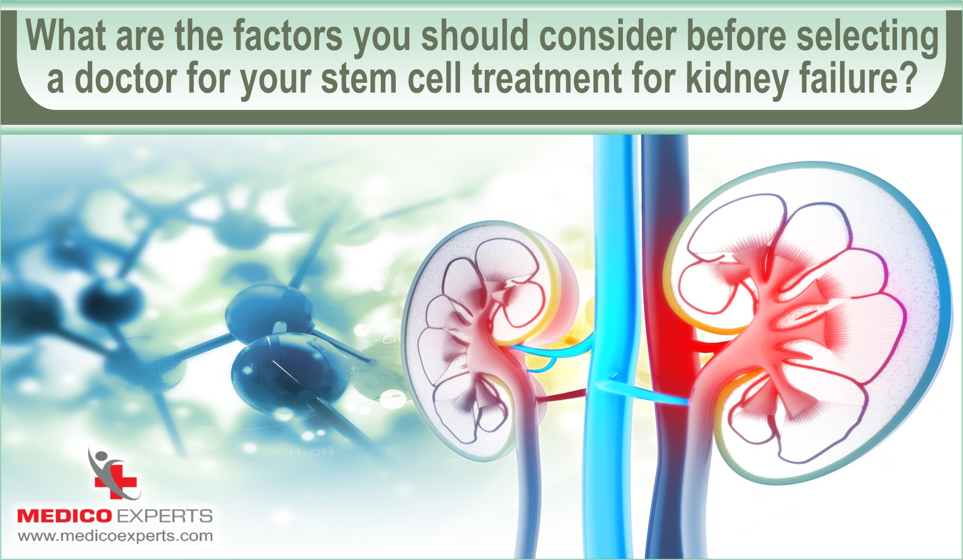 Efficient treatment for kidney failure without dialysis