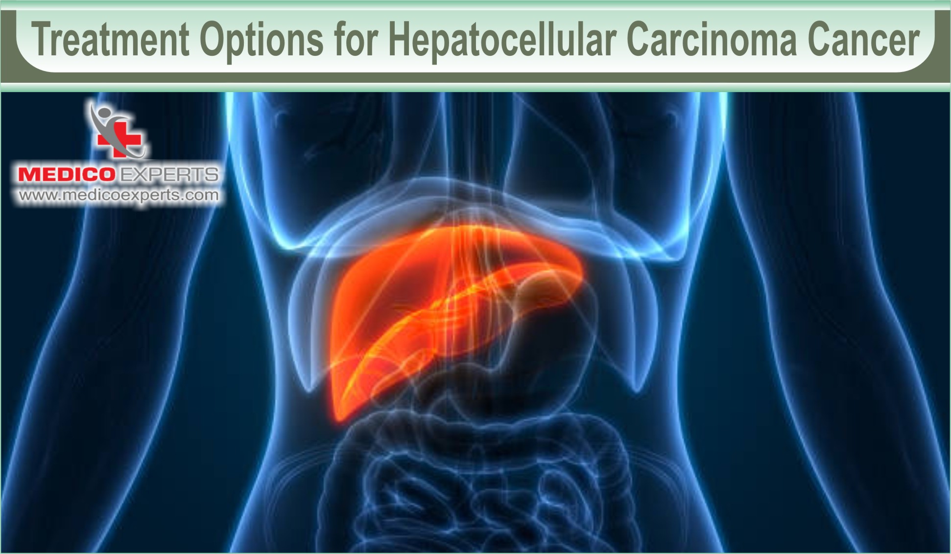 Hepatocellular carcinoma treatment to cure your liver