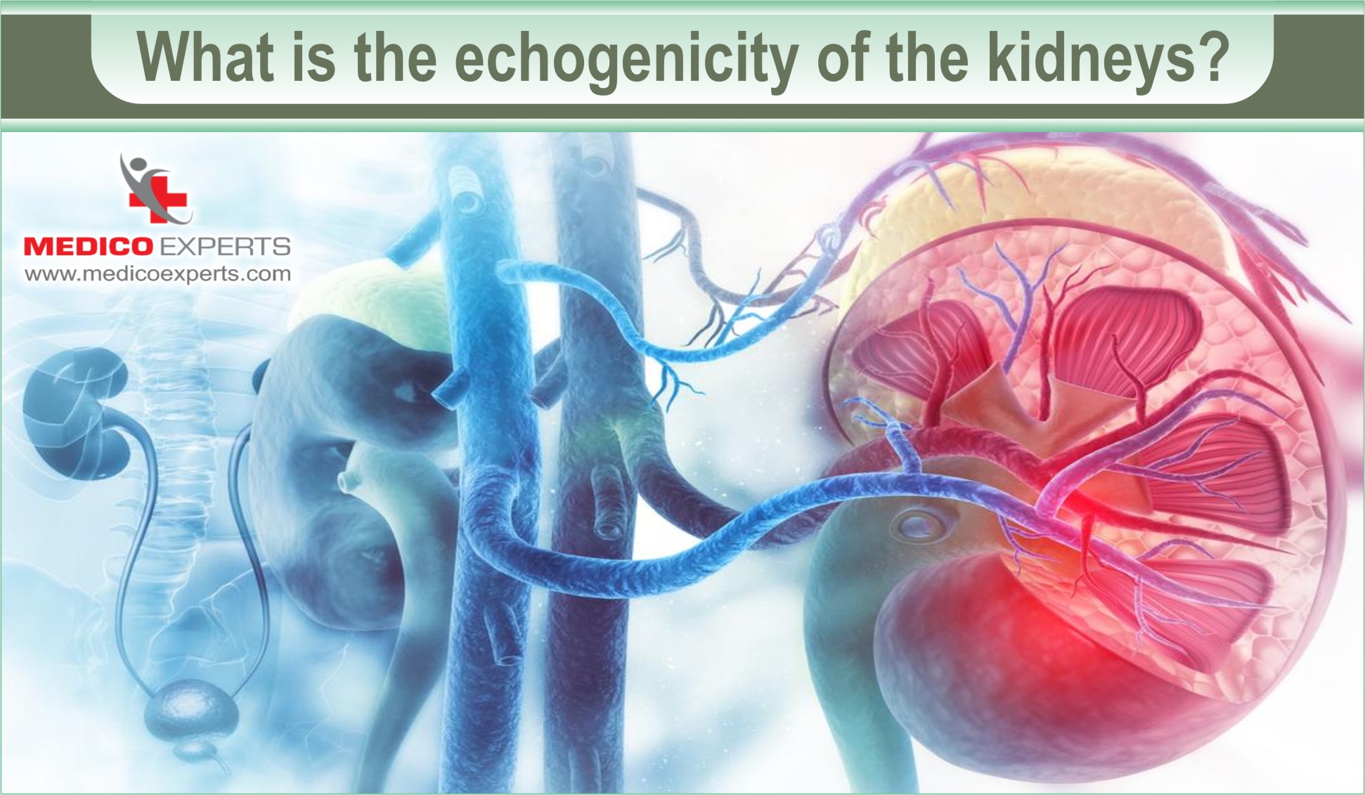 Treatment for Increased Echogenicity of the Kidneys