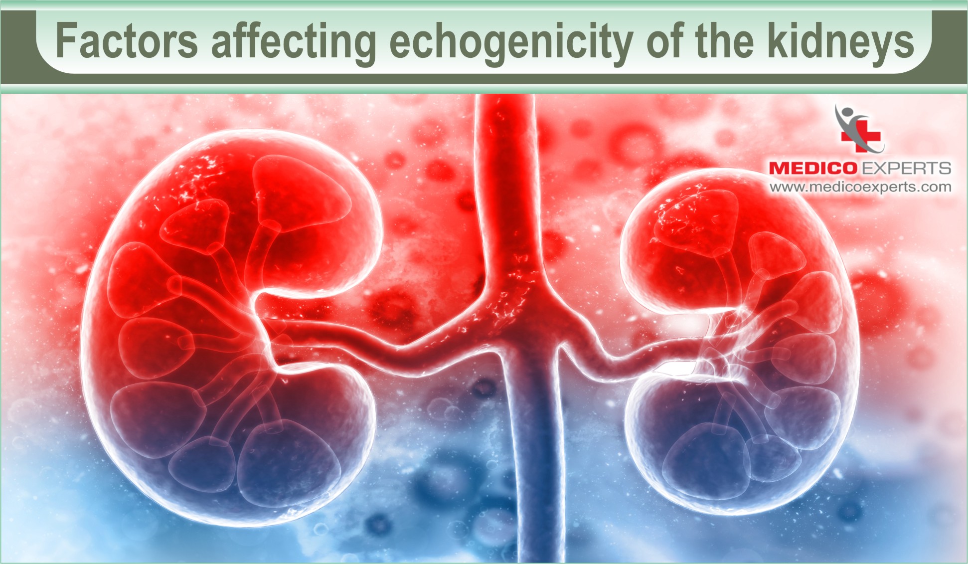 Treatment for Increased Echogenicity of the Kidneys