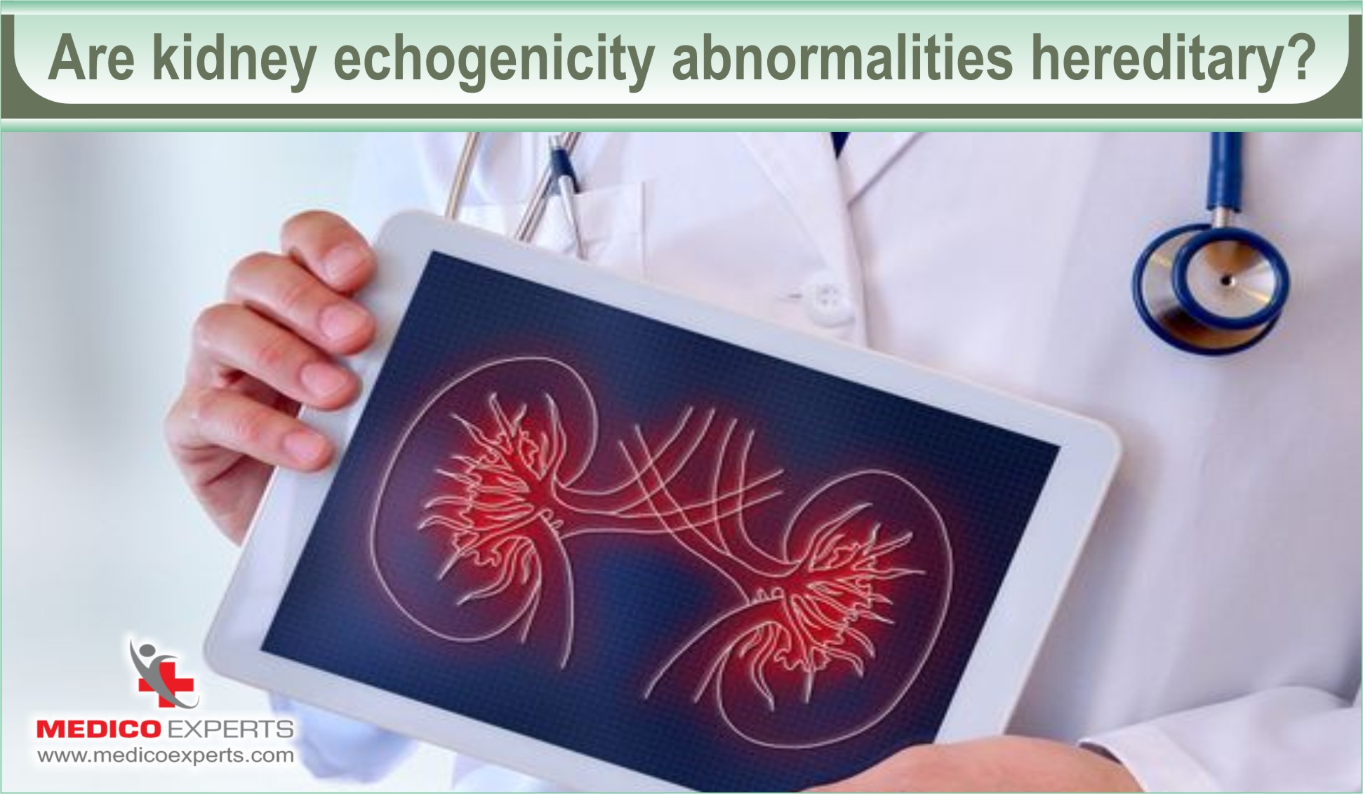 Treatment for Increased Echogenicity of the Kidneys