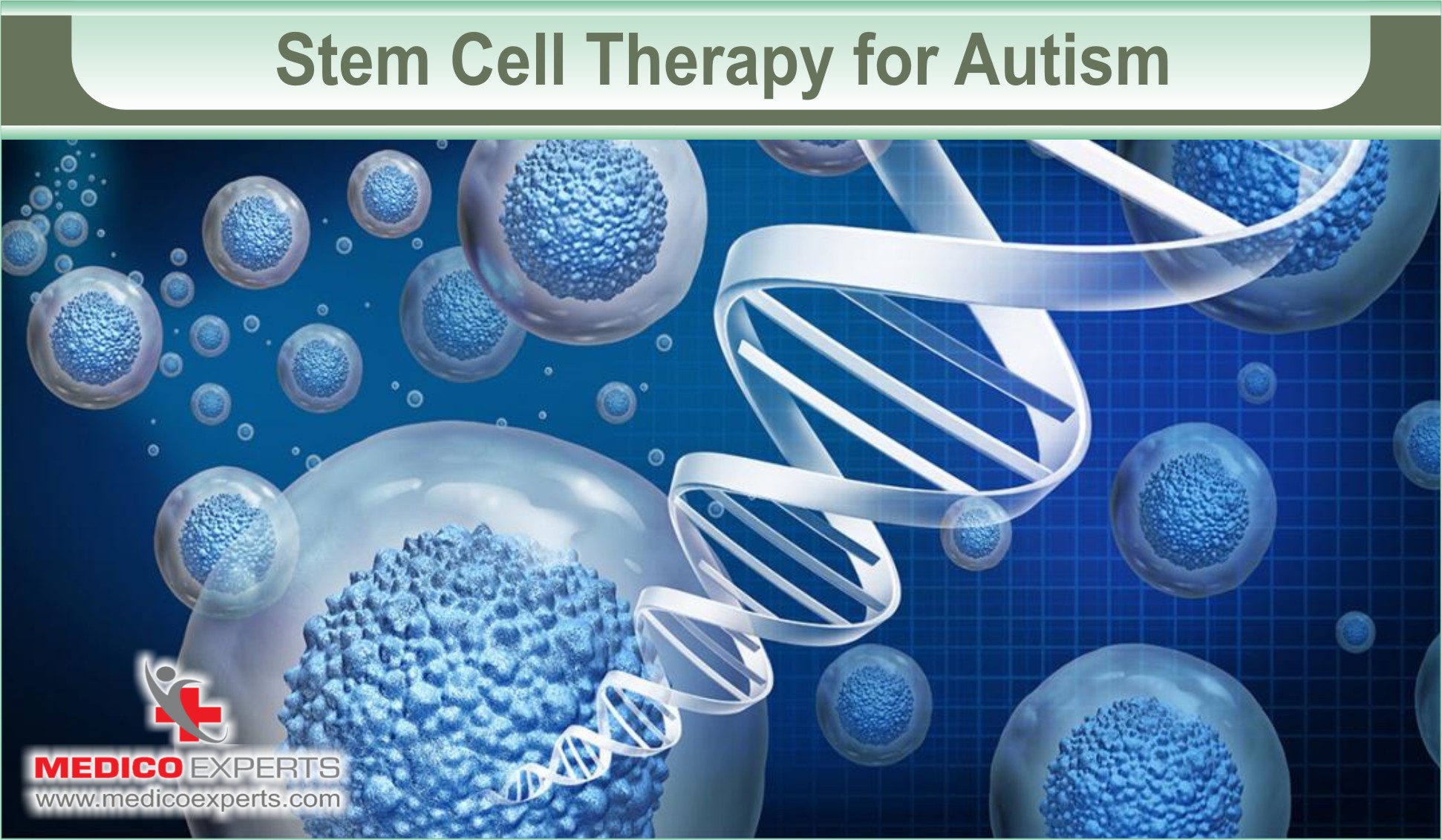 How Does Stem Cell Therapy Work? Understand the Process